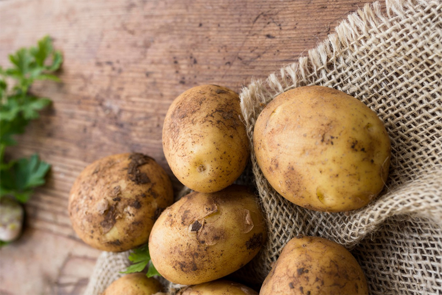 Fine Crop - Global Food Sourcing